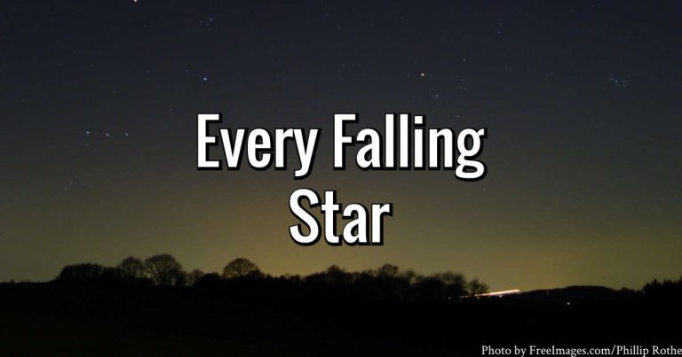 Every Falling Star - Confessions of a Memoir Addict